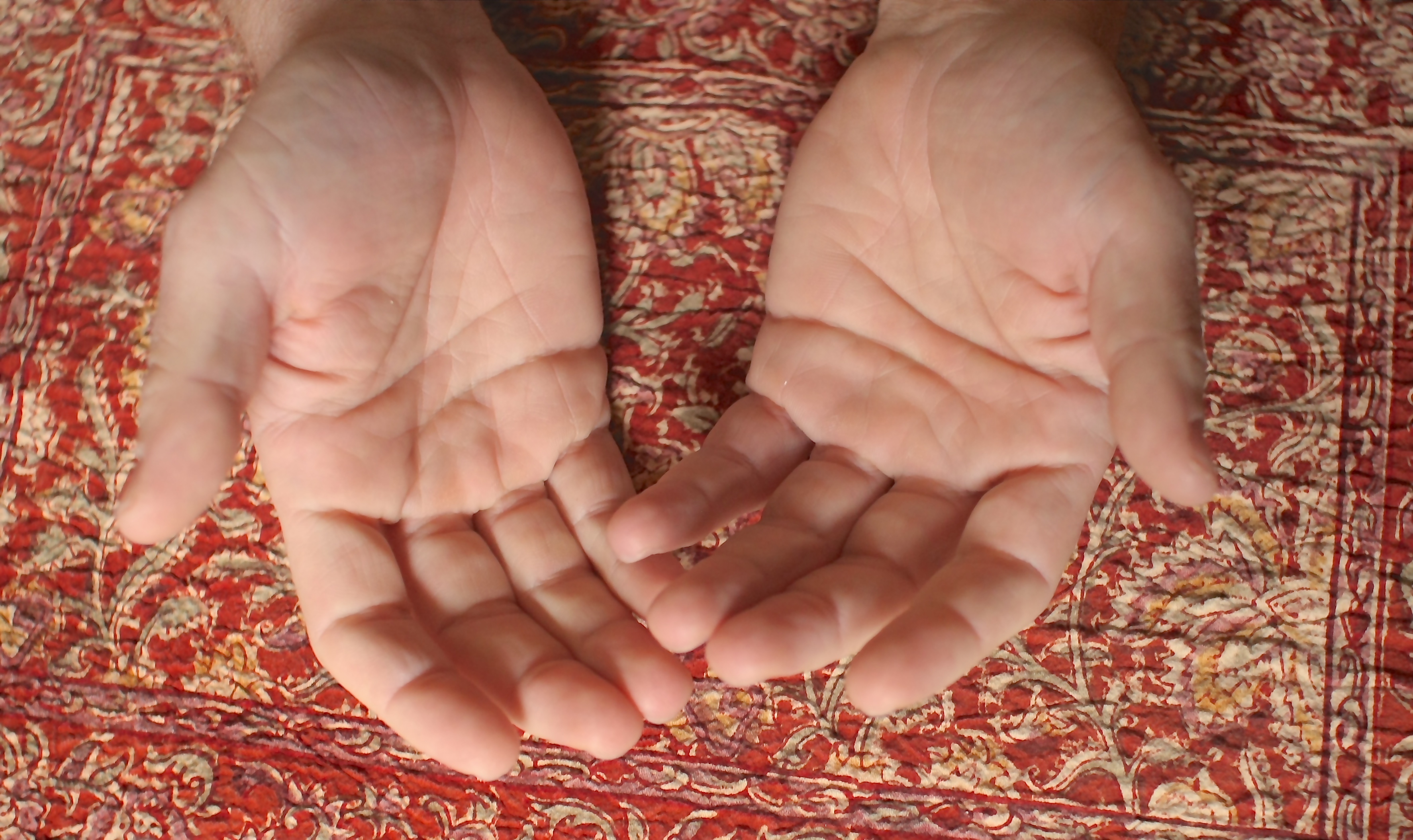 Palpate: Pal-pate | Bare Physical Therapy